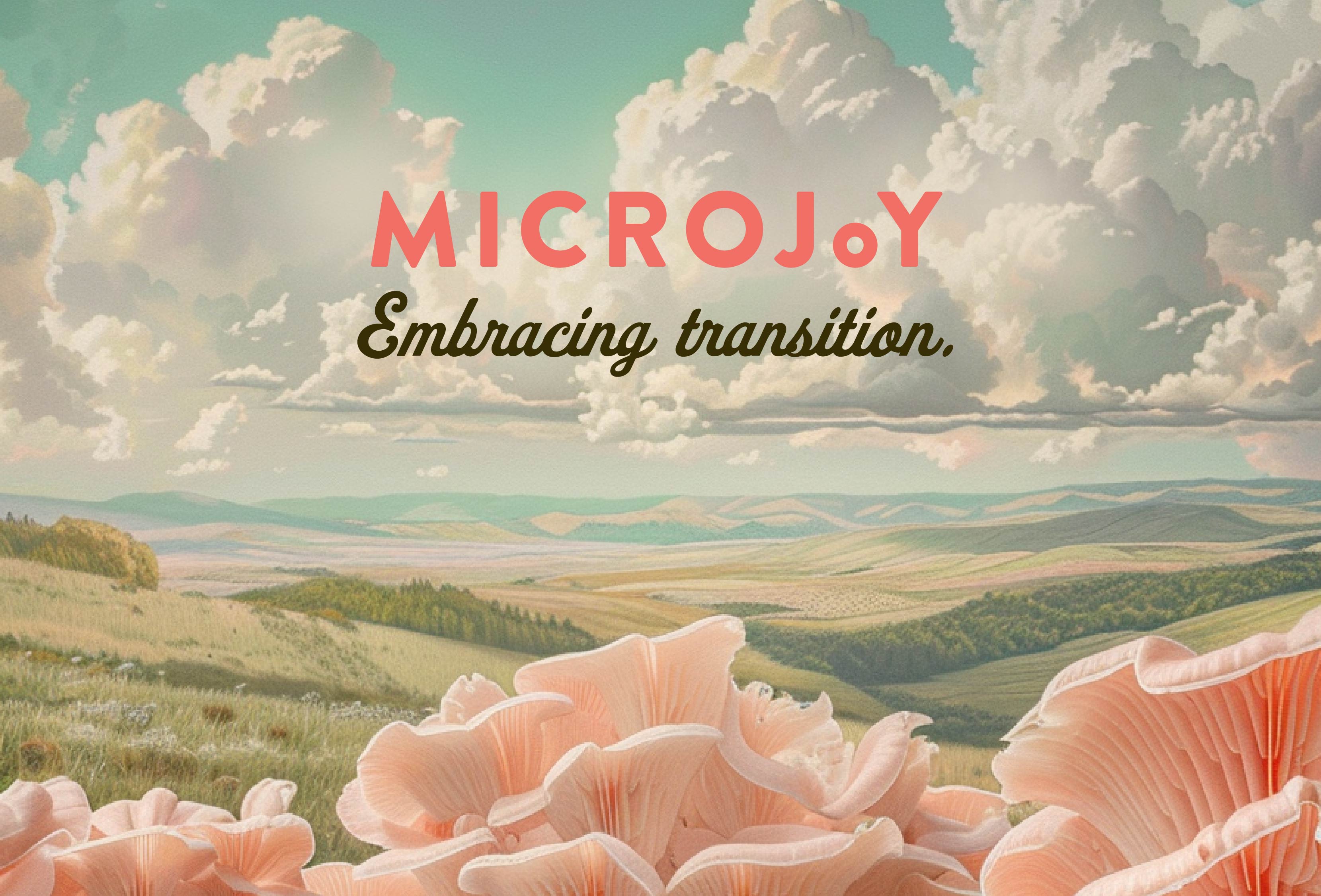 Embracing transition upon a new calendar year. – Microjoy