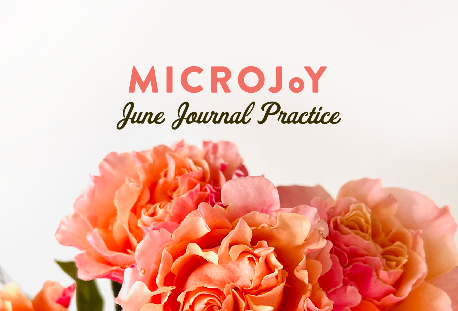 June Journal Practice – Microjoy