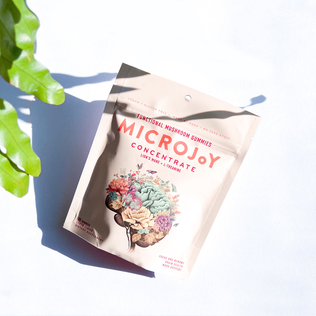 Microjoy Mushroom Goods / Lift the fog, find your joy.