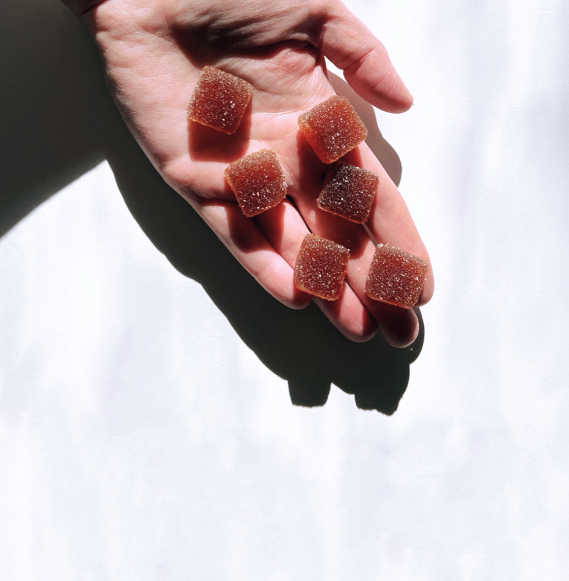 Microjoy Mushroom Goods / Lift the fog, find your joy.